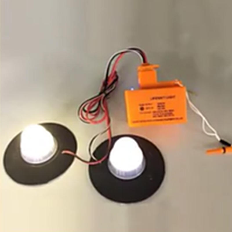 LED Light